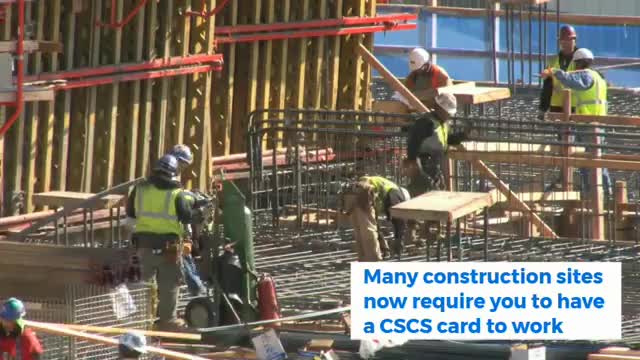 CSCS Blue Card Price - نماشا